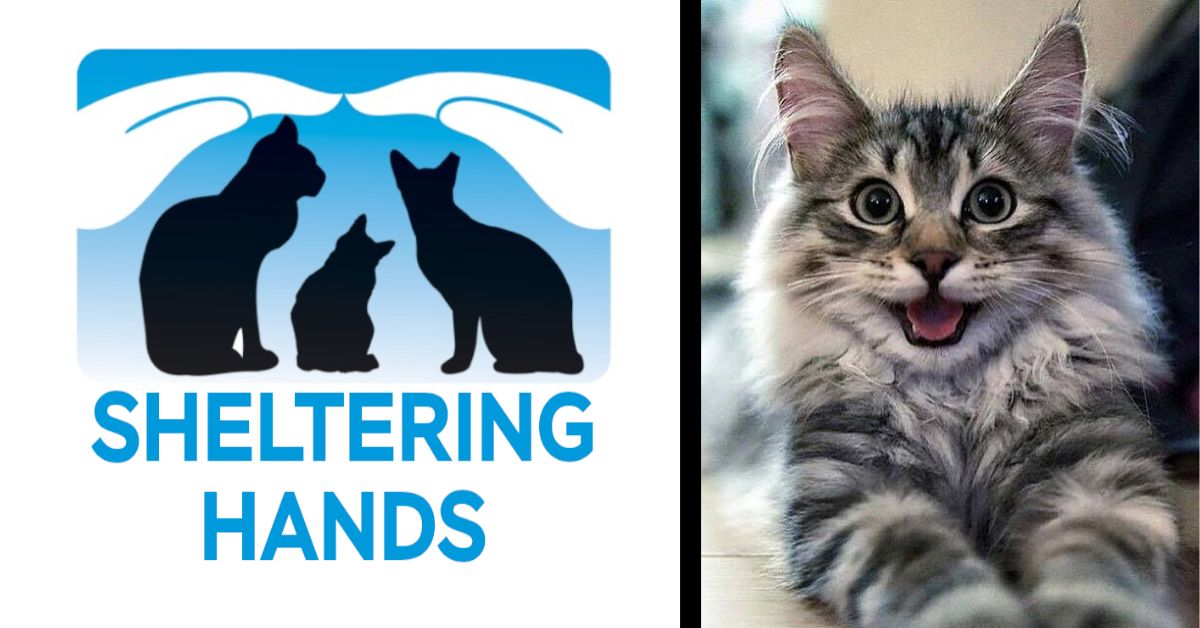 Home - Sheltering Hands Inc